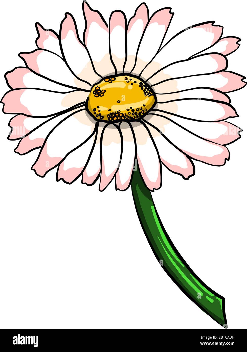 White flower , illustration, vector on white background Stock Vector ...