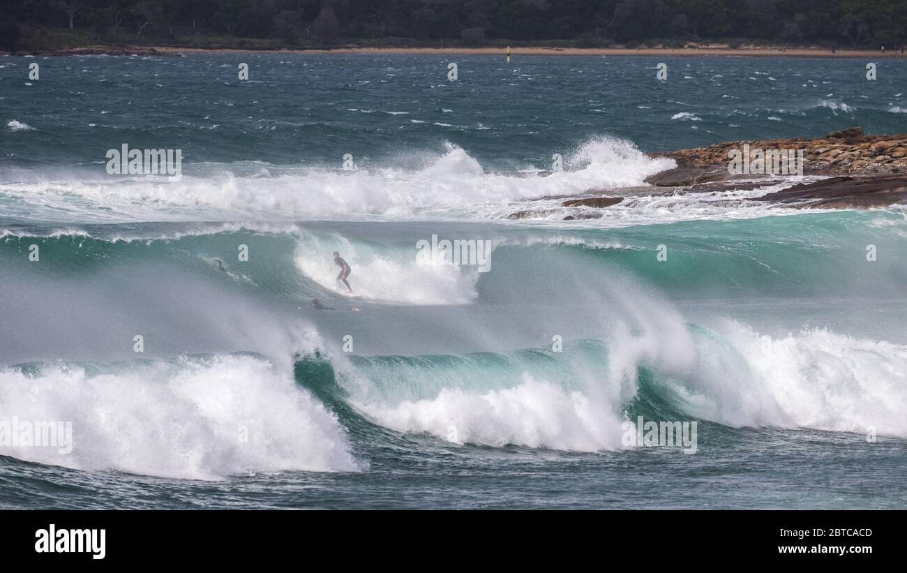 Surfing in large swell off a Sydney Beach Stock Photo - Alamy
