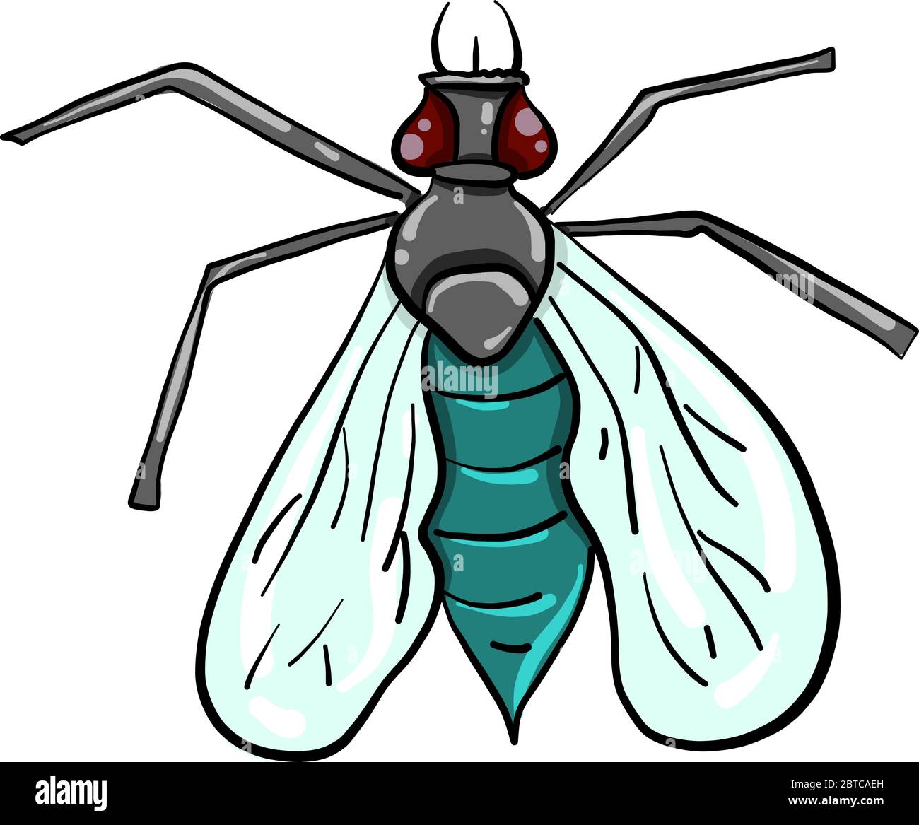 Fly insect , illustration, vector on white background Stock Vector ...