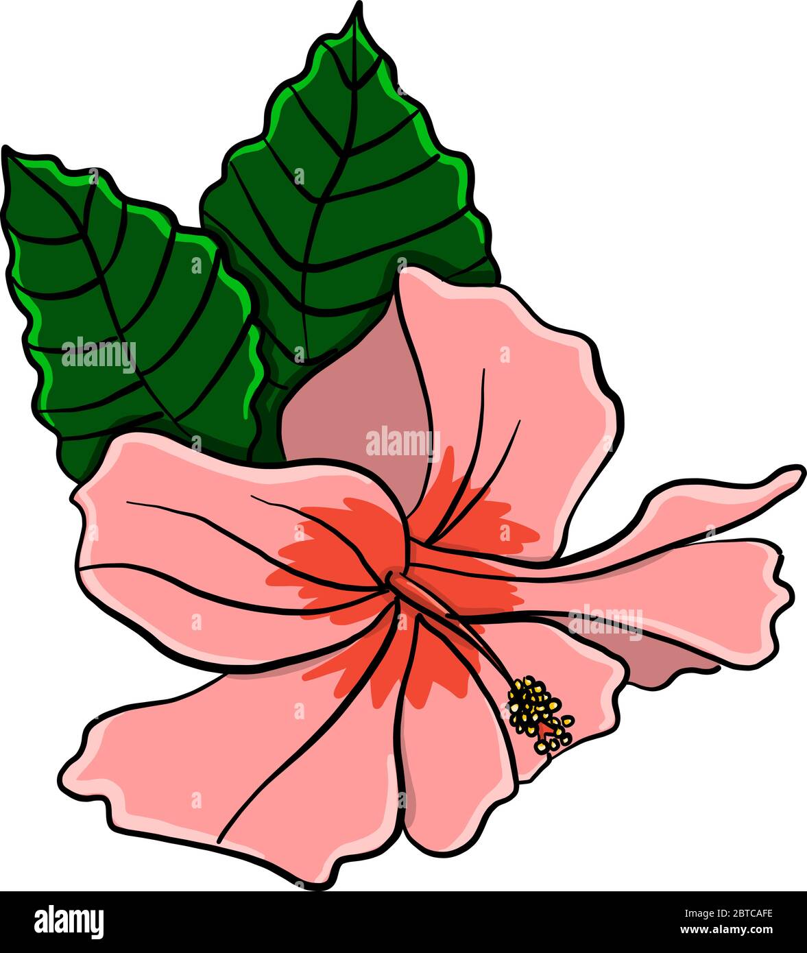 Hibiscus flower vector hi-res stock photography and images - Alamy