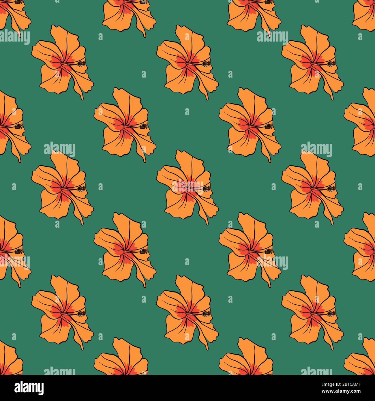 Hibiscus pattern , illustration, vector on white background Stock ...