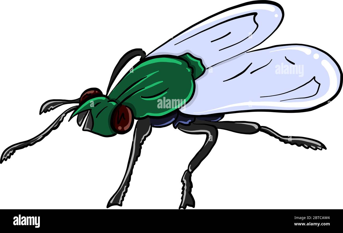 Green fly , illustration, vector on white background Stock Vector Image ...