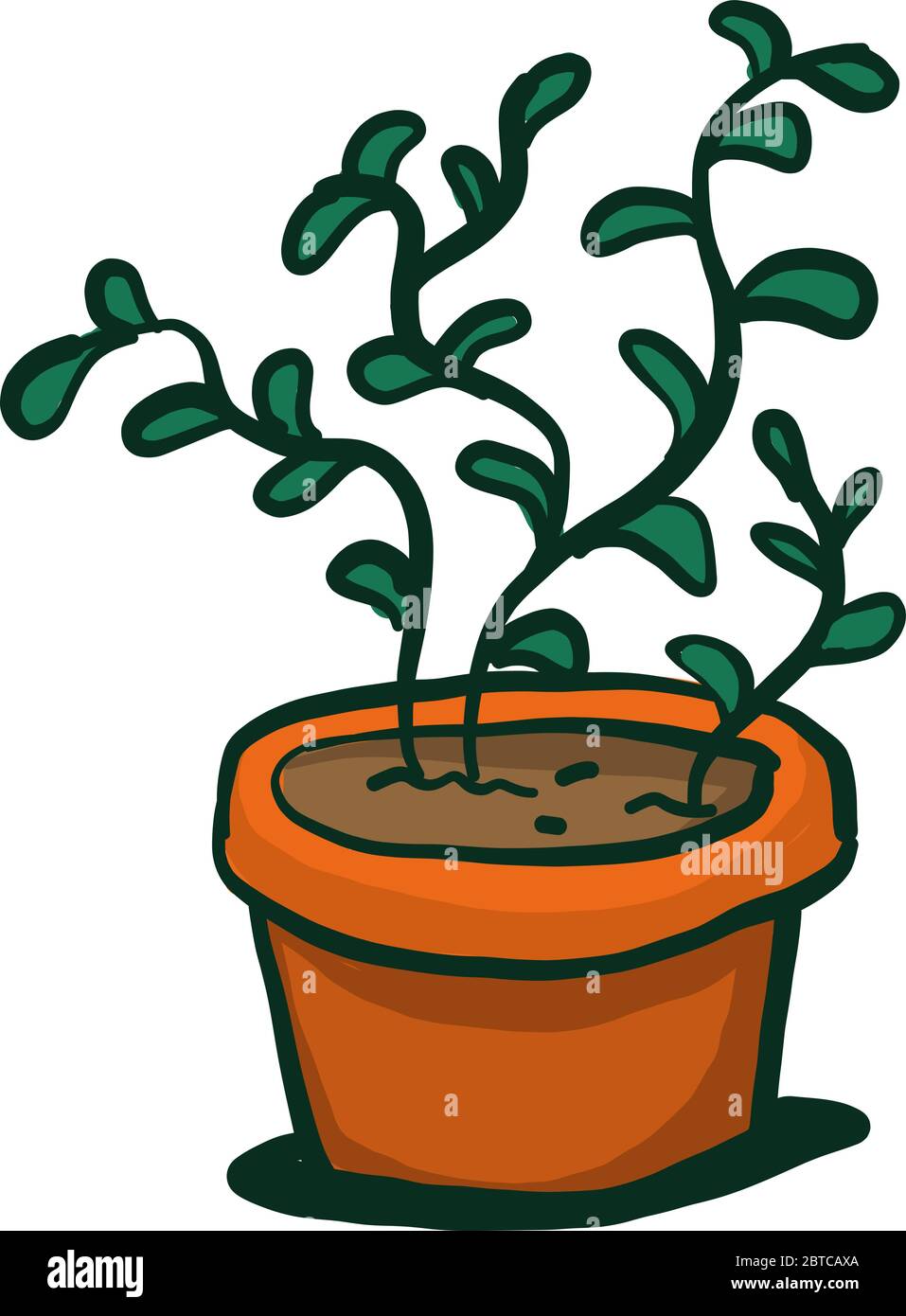 Succulent plant on garden Stock Vector Images - Alamy