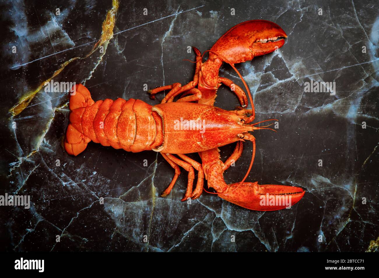 Red boiled lobster seafood on a black plate background Stock Photo - Alamy