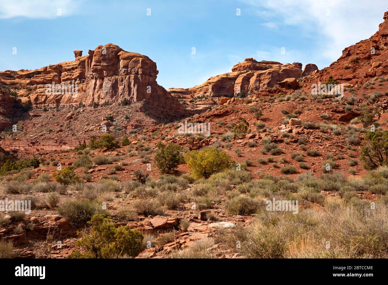 Adding color hi-res stock photography and images - Alamy