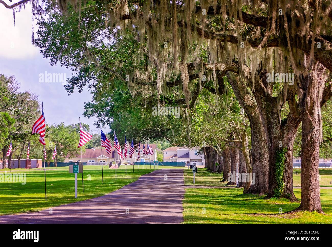 American flags line a road in Biloxi National Cemetery for Memorial Day ...