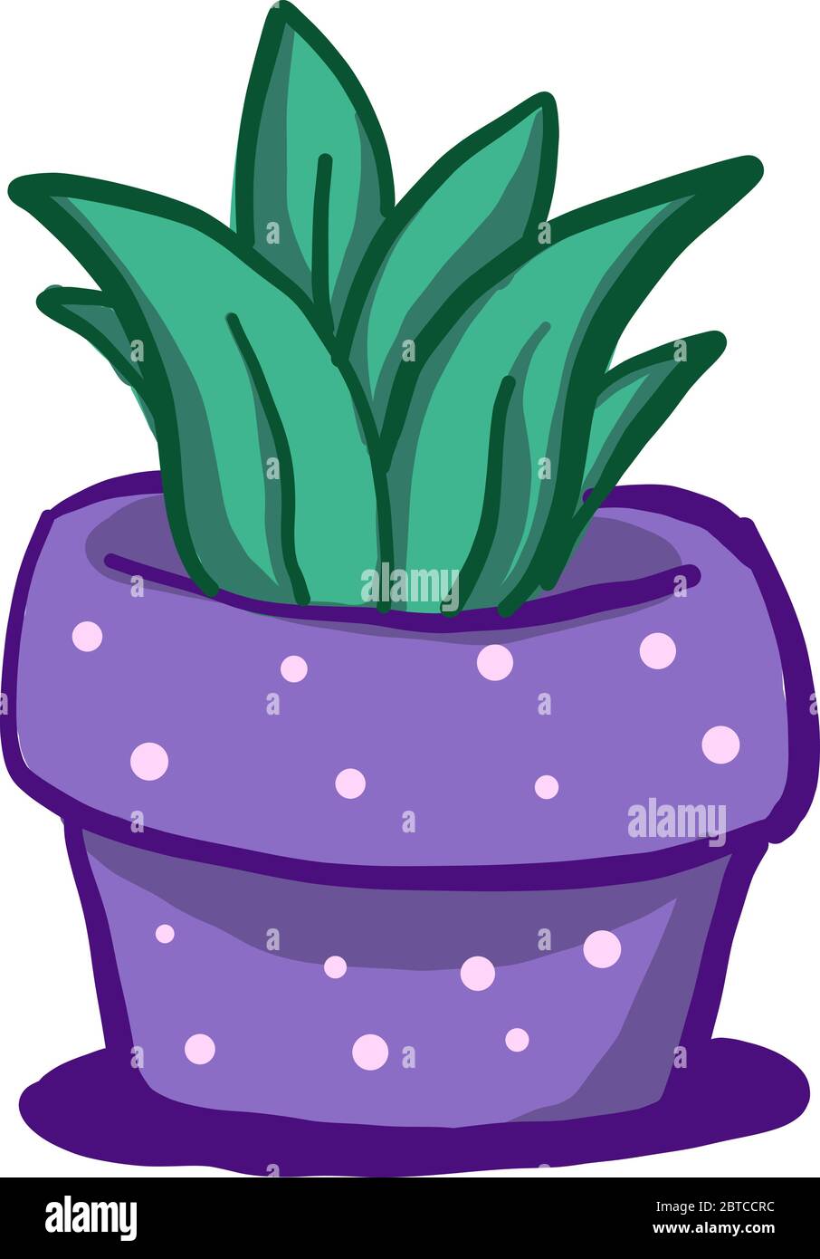 Plant in purple pot , illustration, vector on white background Stock ...