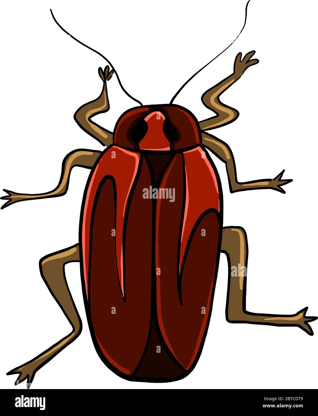 Red cockroach , illustration, vector on white background Stock Vector ...