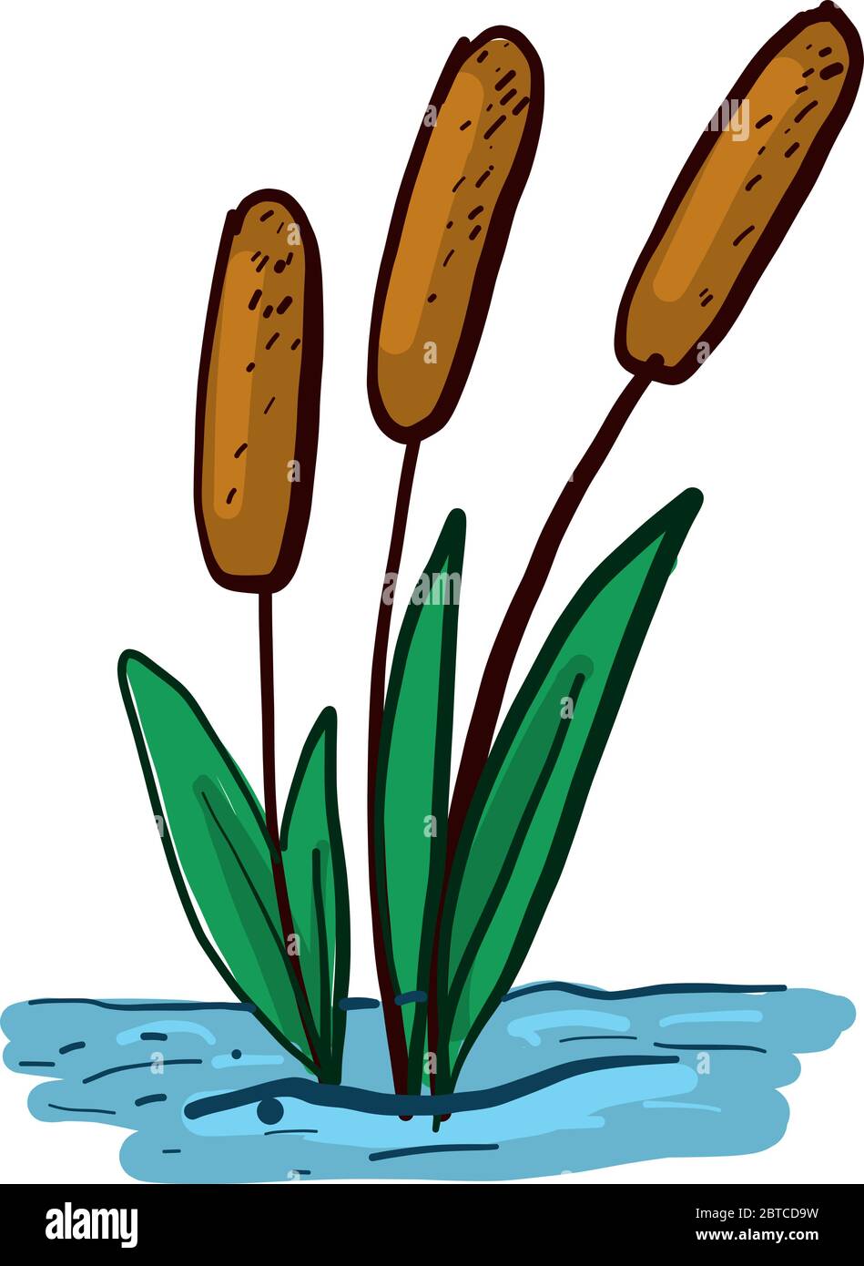 Reeds on background water Stock Vector Images - Alamy