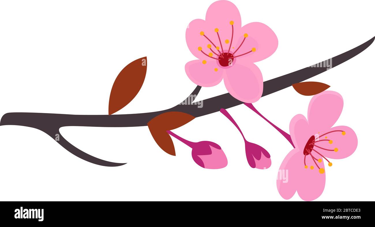 Sakura tree , illustration, vector on white background Stock Vector ...