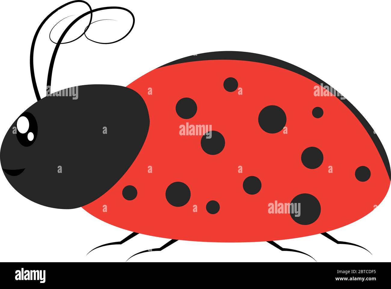 Ladybug in profile, illustration, vector on white background Stock ...