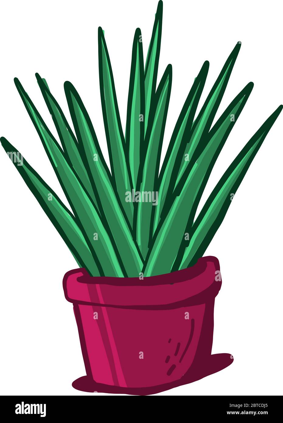 Yucca flower stalk Stock Vector Images - Alamy