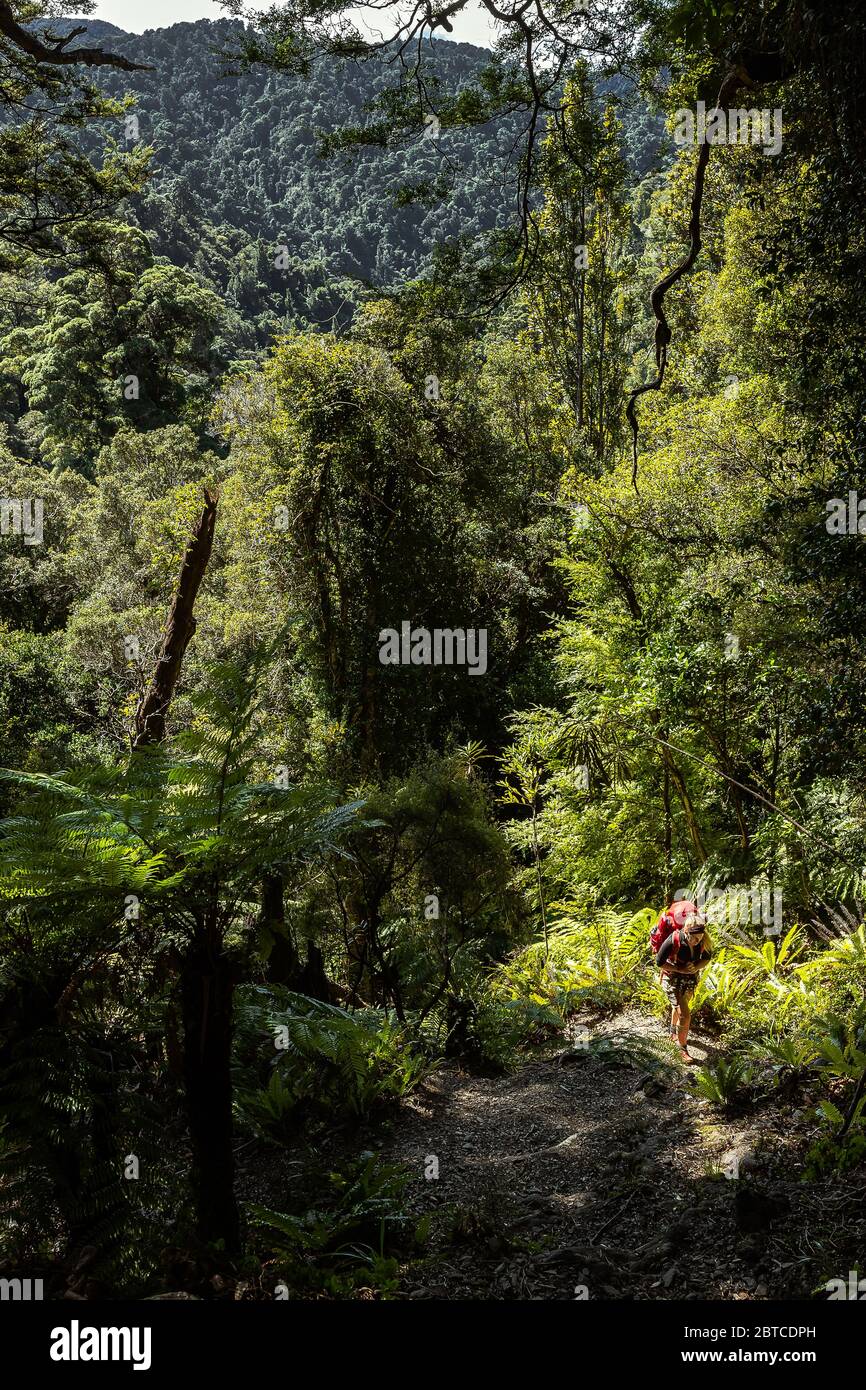 Remutaka park hi-res stock photography and images - Alamy