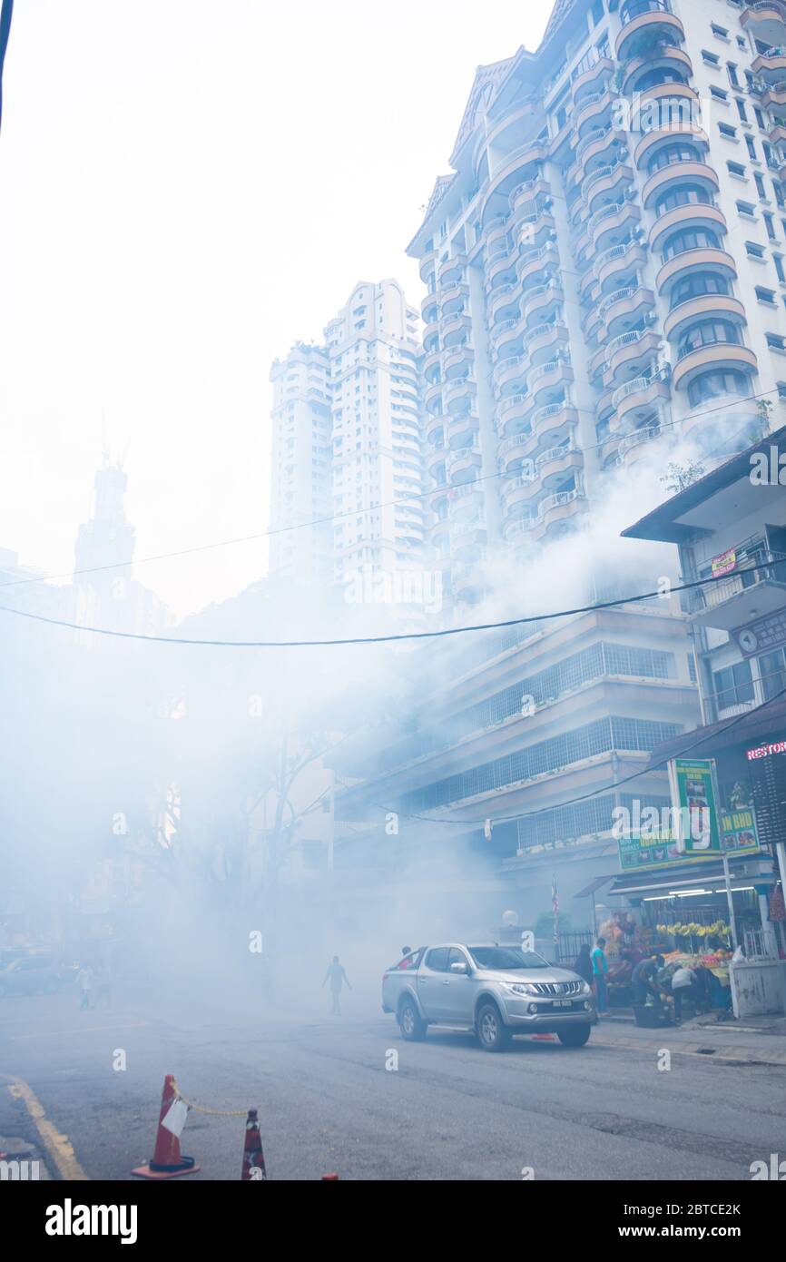 Disinfection of the room. A lot of smoke etching insects Stock Photo ...