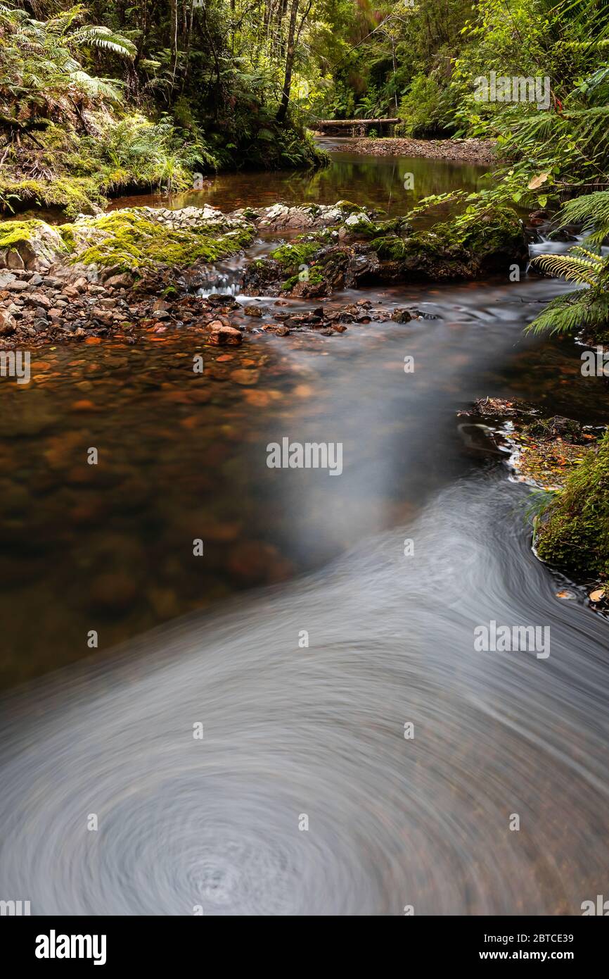 Bubbles form a circular pattern on the river surface, New Zealand ...