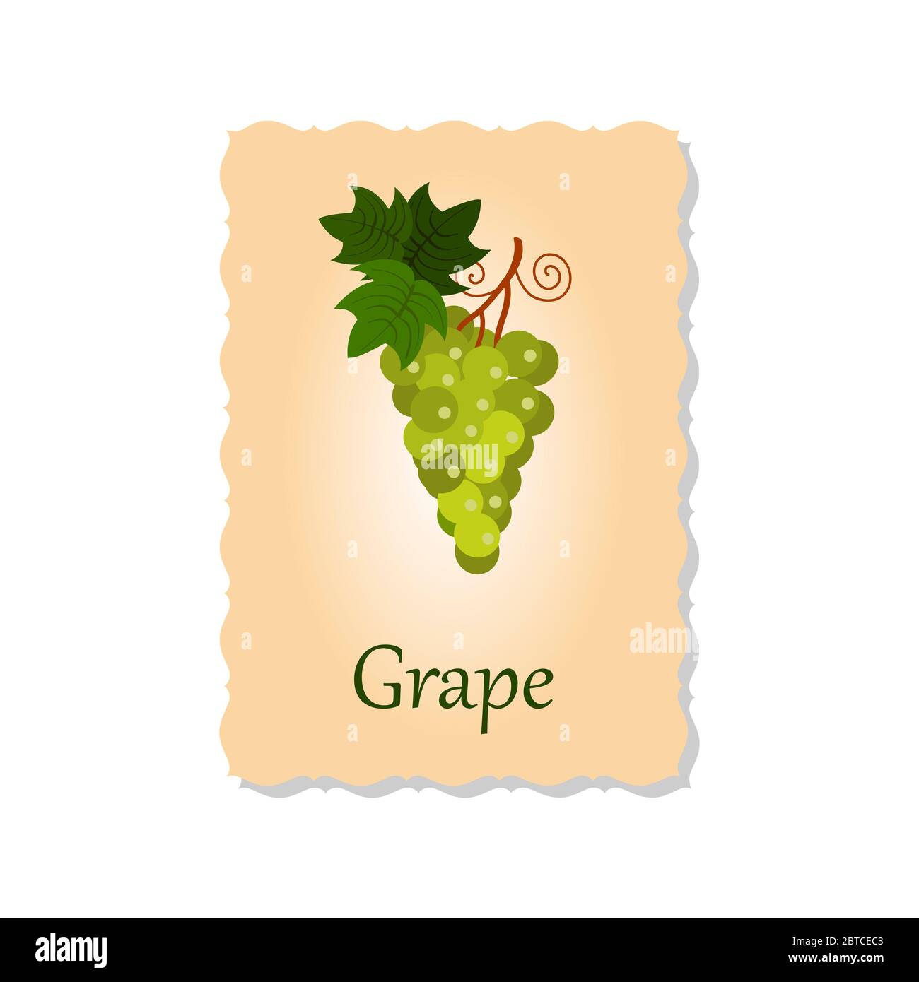 Greeting card with green grapes with caption. Vector illustration Stock ...