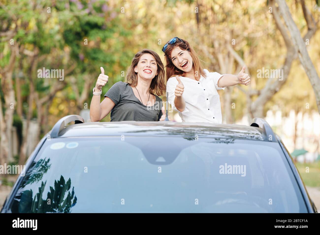 Riding in trunk of car hi-res stock photography and images - Alamy