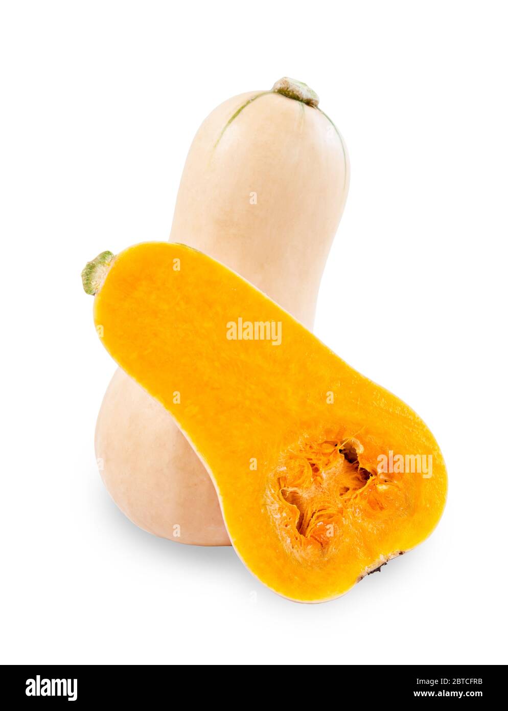 Fresh butternut squash isolated on a white background, Save clipping ...