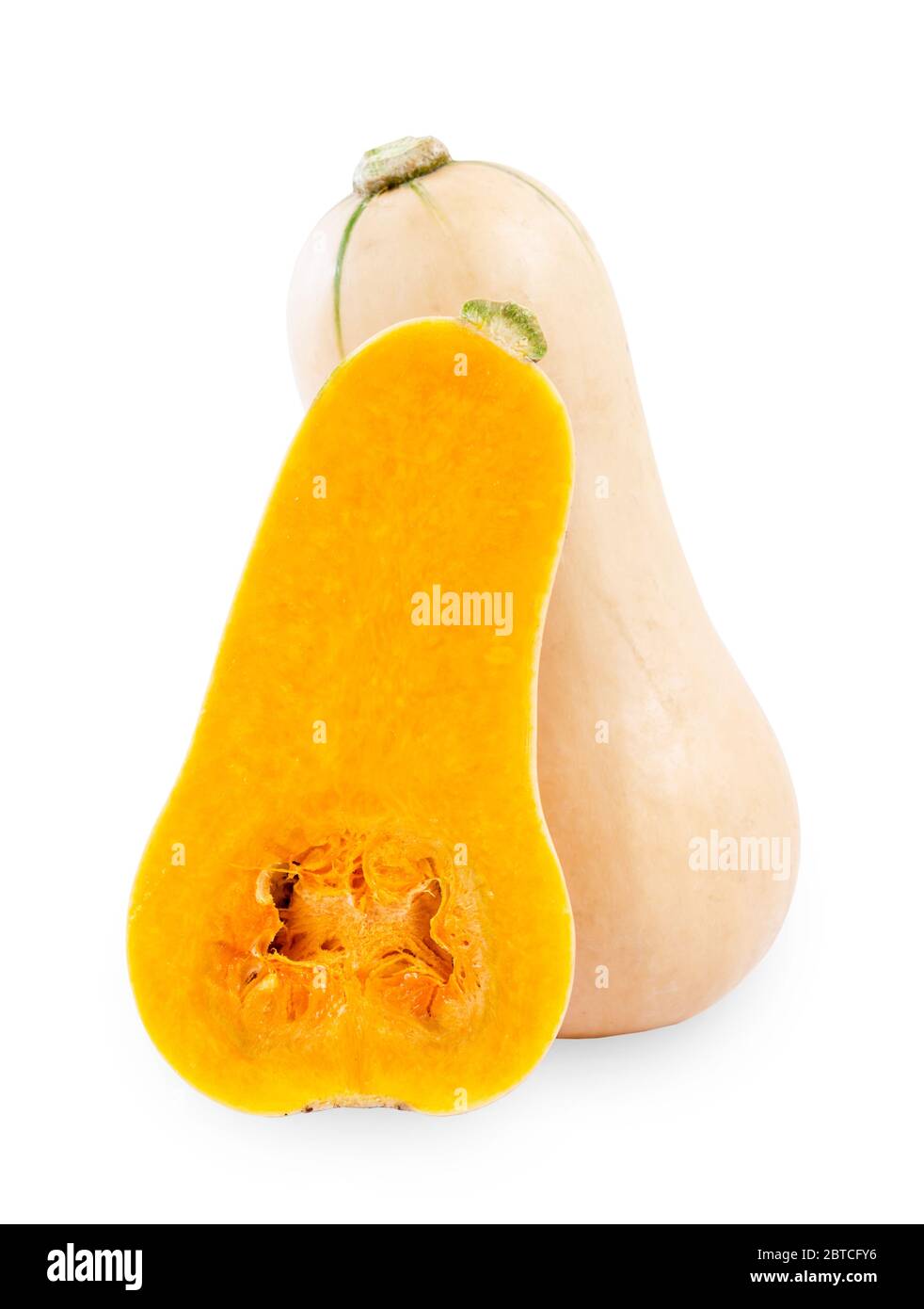 Fresh butternut squash isolated on a white background, Save clipping ...