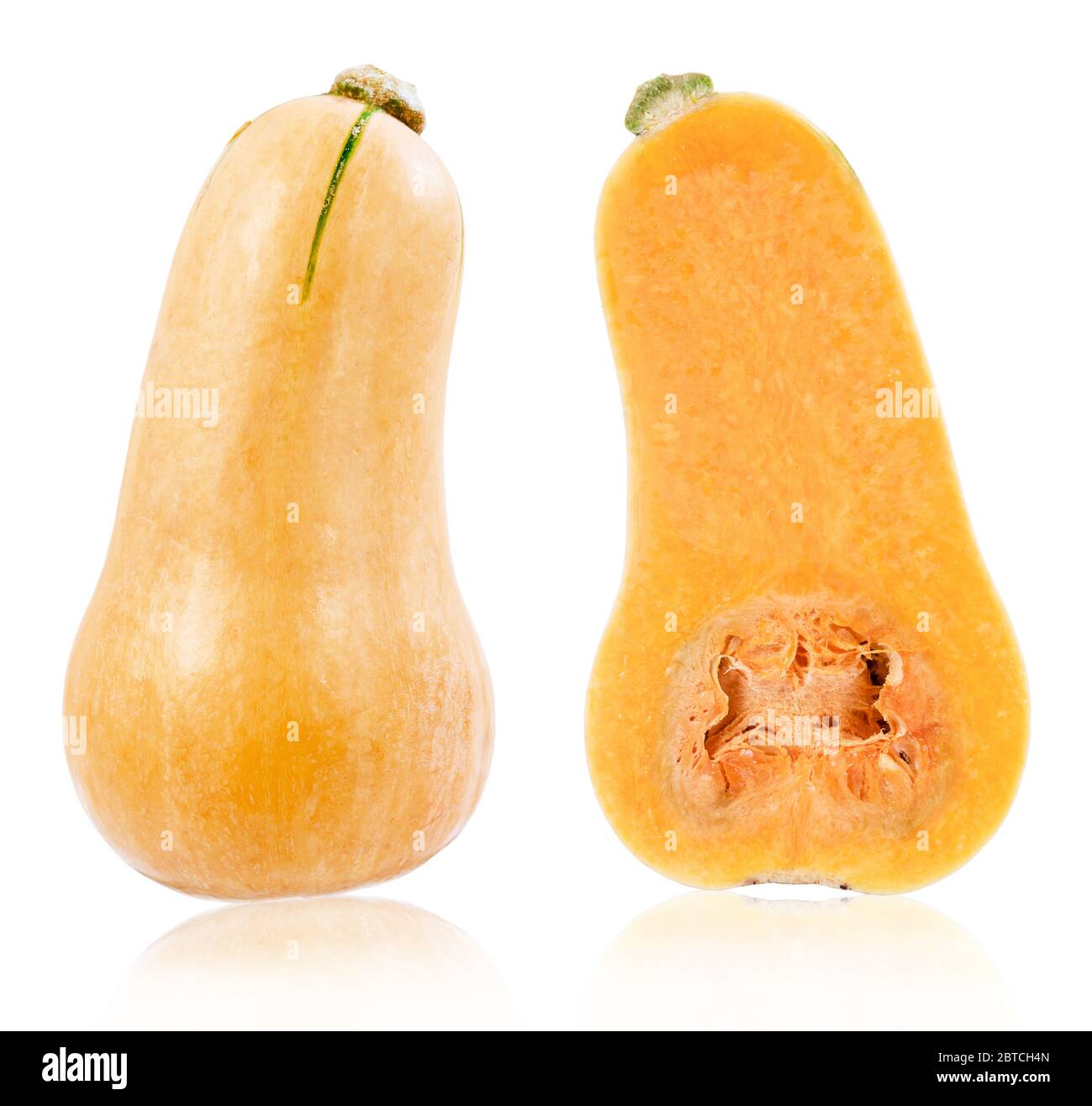 Fresh butternut squash isolated on a white background, Save clipping ...