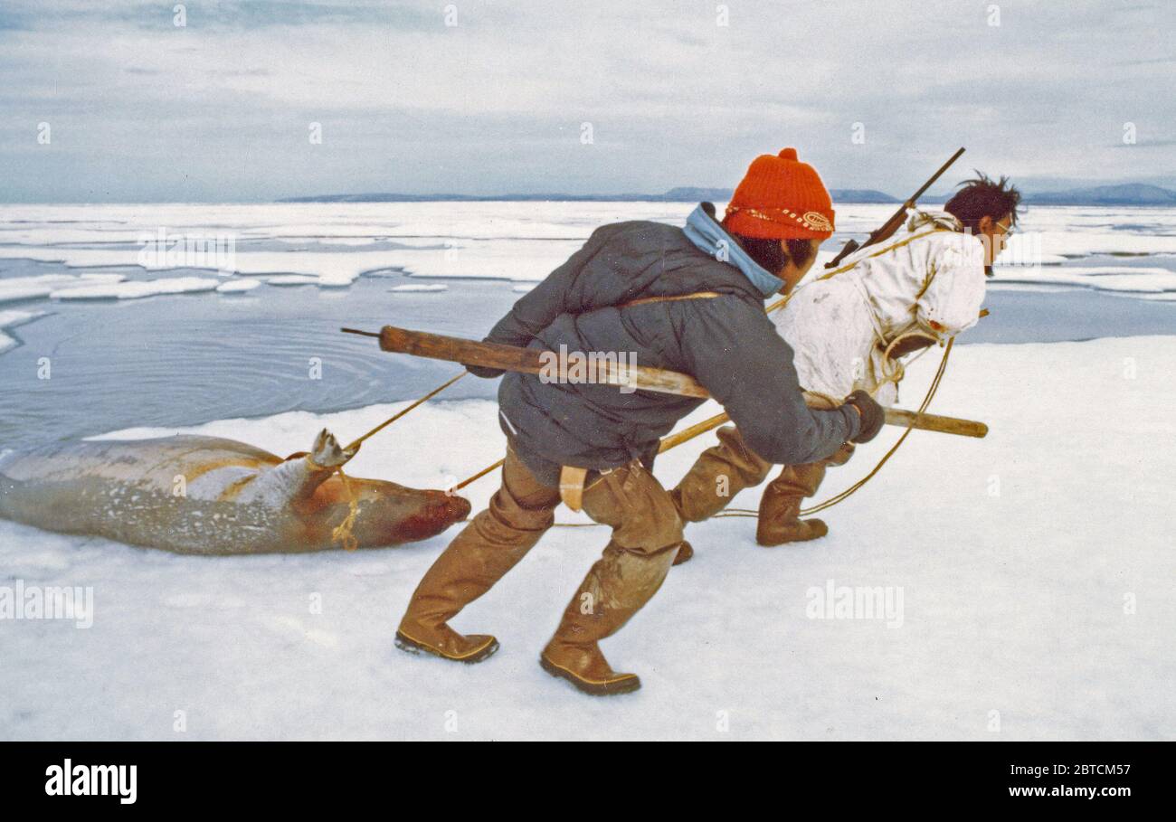 Seal hunters hi-res stock photography and images - Alamy