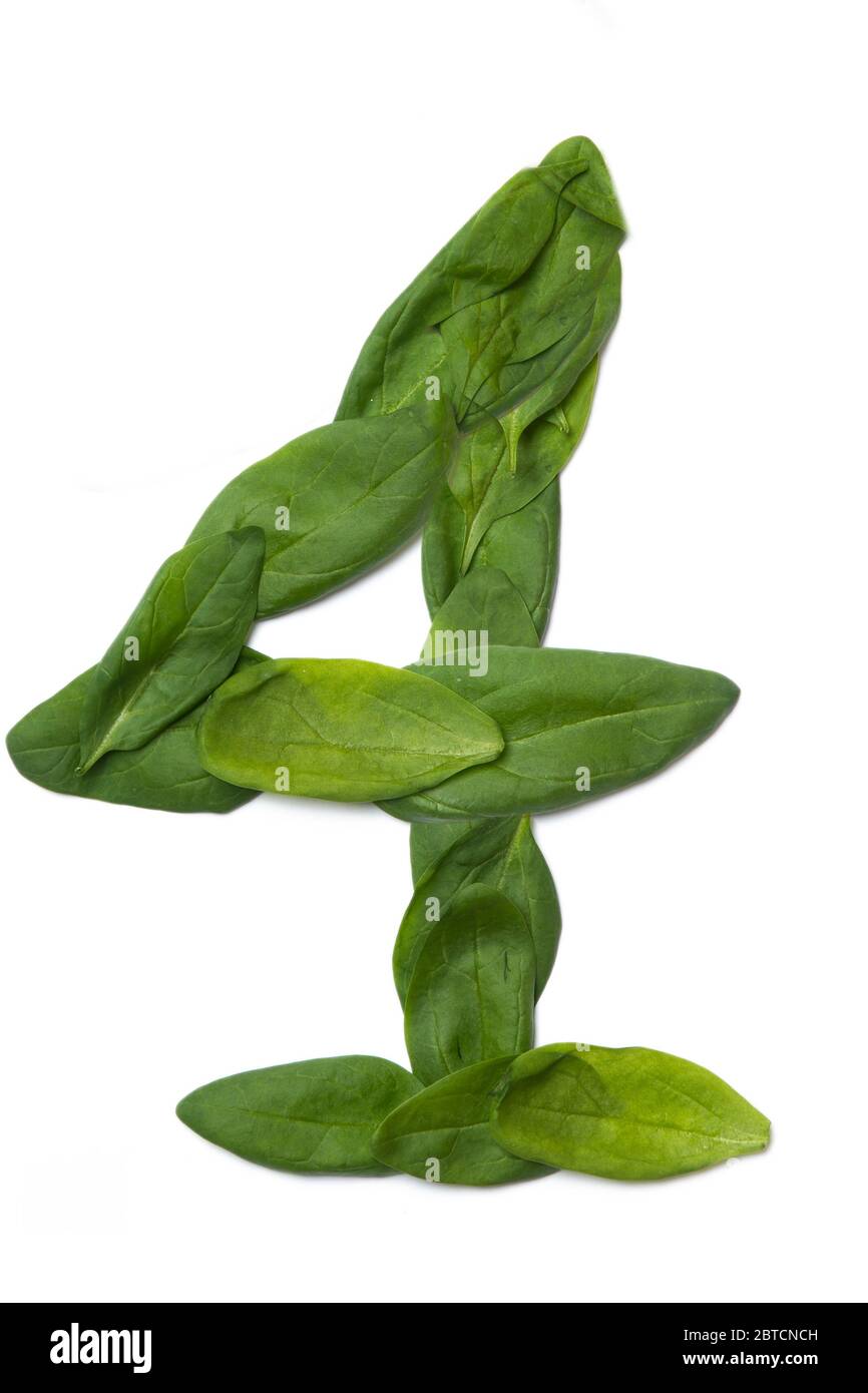 Arabic numeral "4" from made from fresh green spinach leaves on a white ...