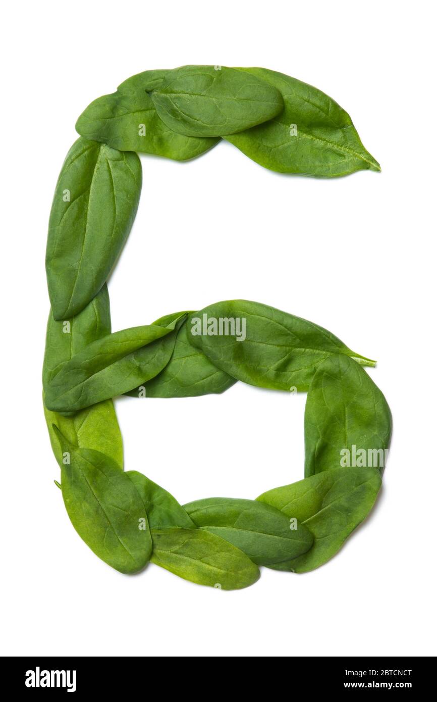 Arabic numeral "6" from made from fresh green spinach leaves on a white ...