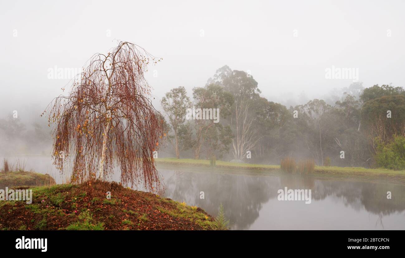 Misty Autumn morning at the lake Stock Photo - Alamy