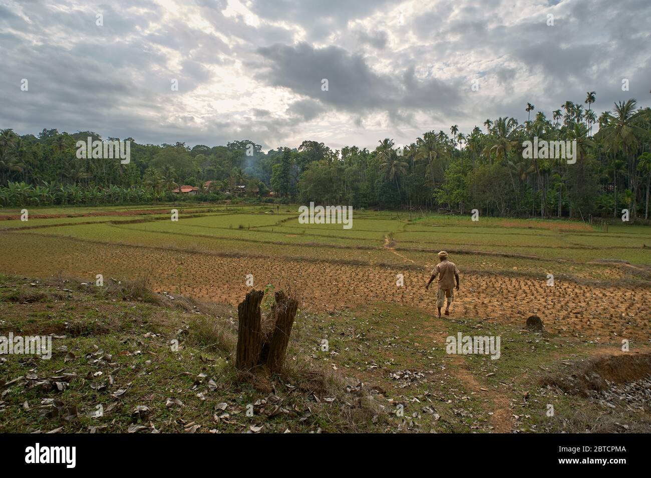 Maggot village hi-res stock photography and images - Alamy