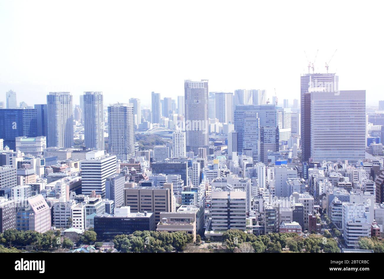 Aerial view of Tokyo - capital city of Japan, Asia. View from Tokyo ...