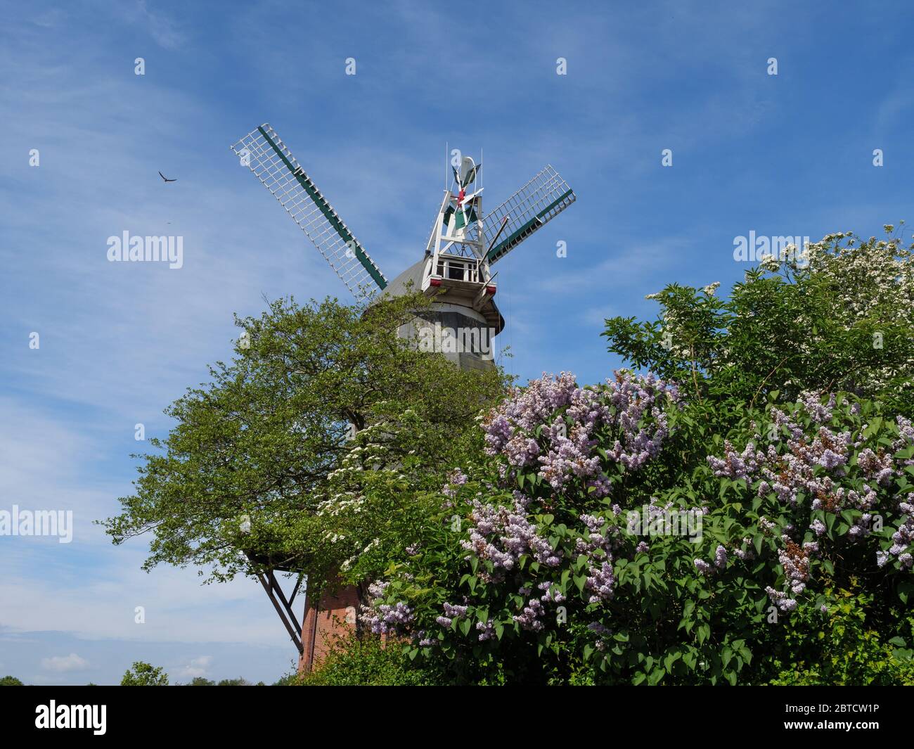windmill at greetsiel Stock Photo - Alamy
