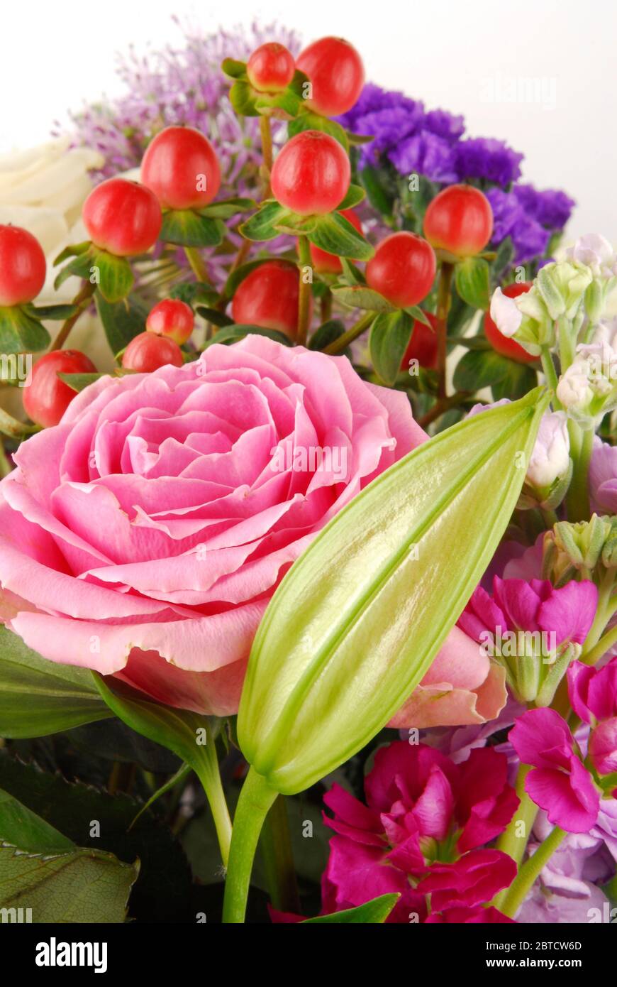 Flowrer hi-res stock photography and images - Alamy