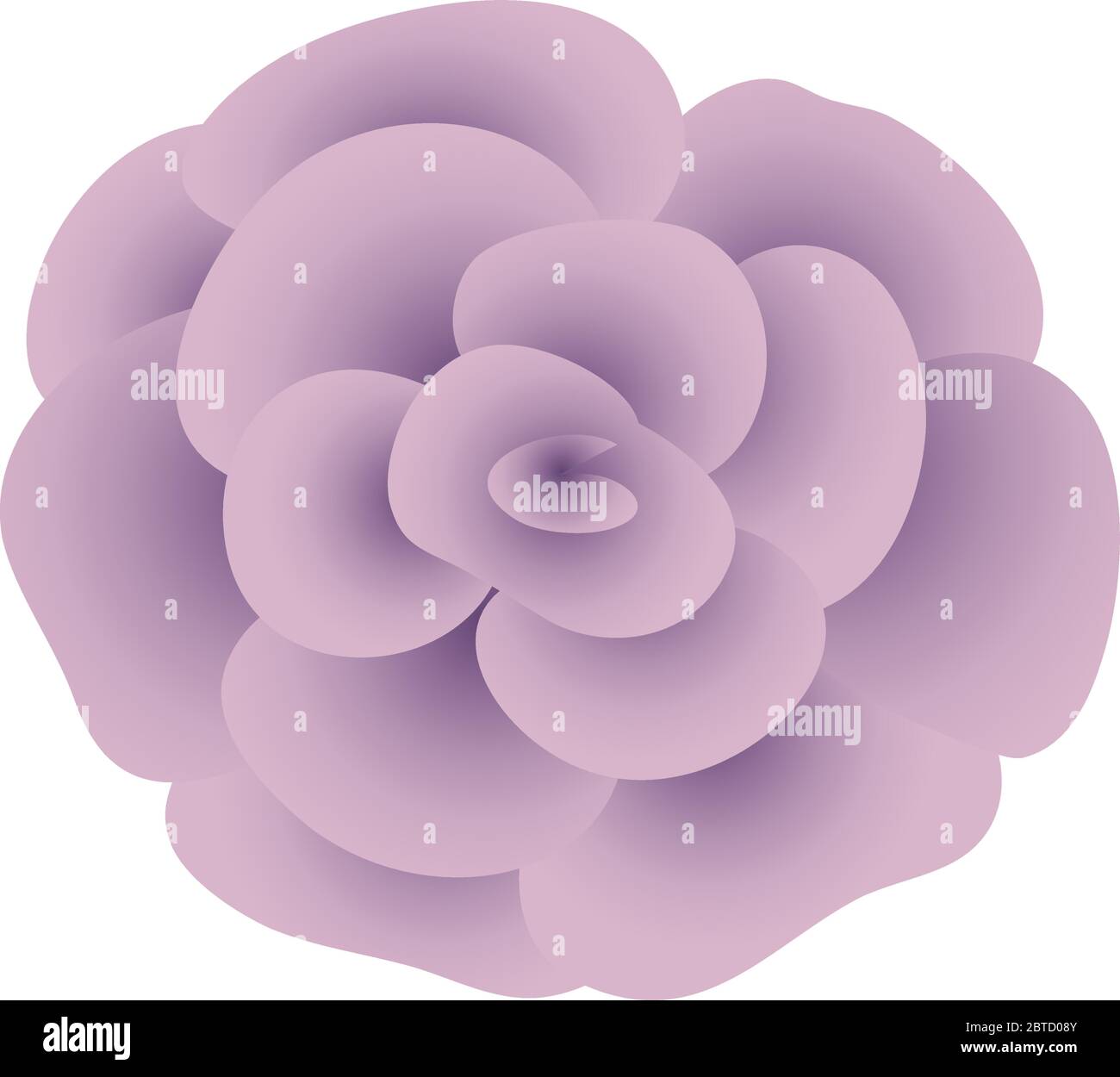 Rosal flower Stock Vector Images - Alamy