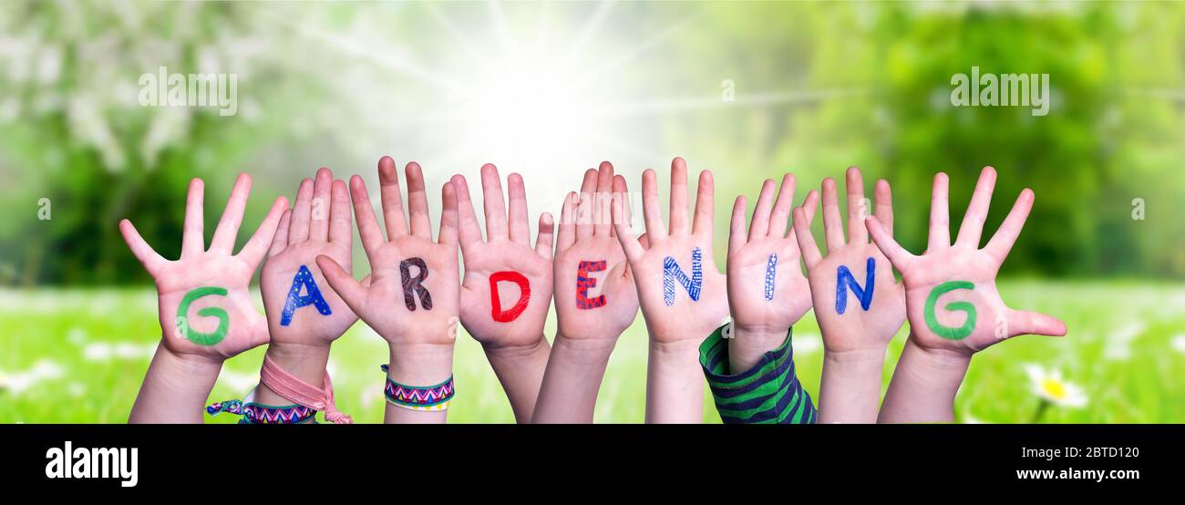 Children gardening hands hi-res stock photography and images - Alamy