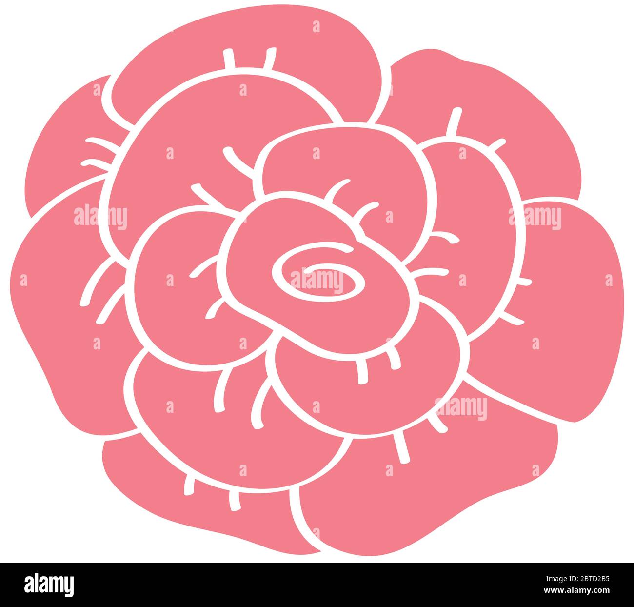Rosal flower Stock Vector Images - Alamy
