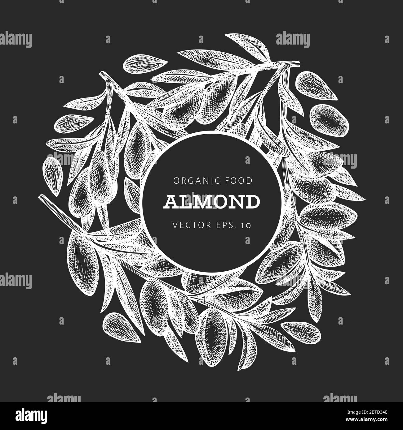 Hand drawn sketch almond design template. Organic food vector ...