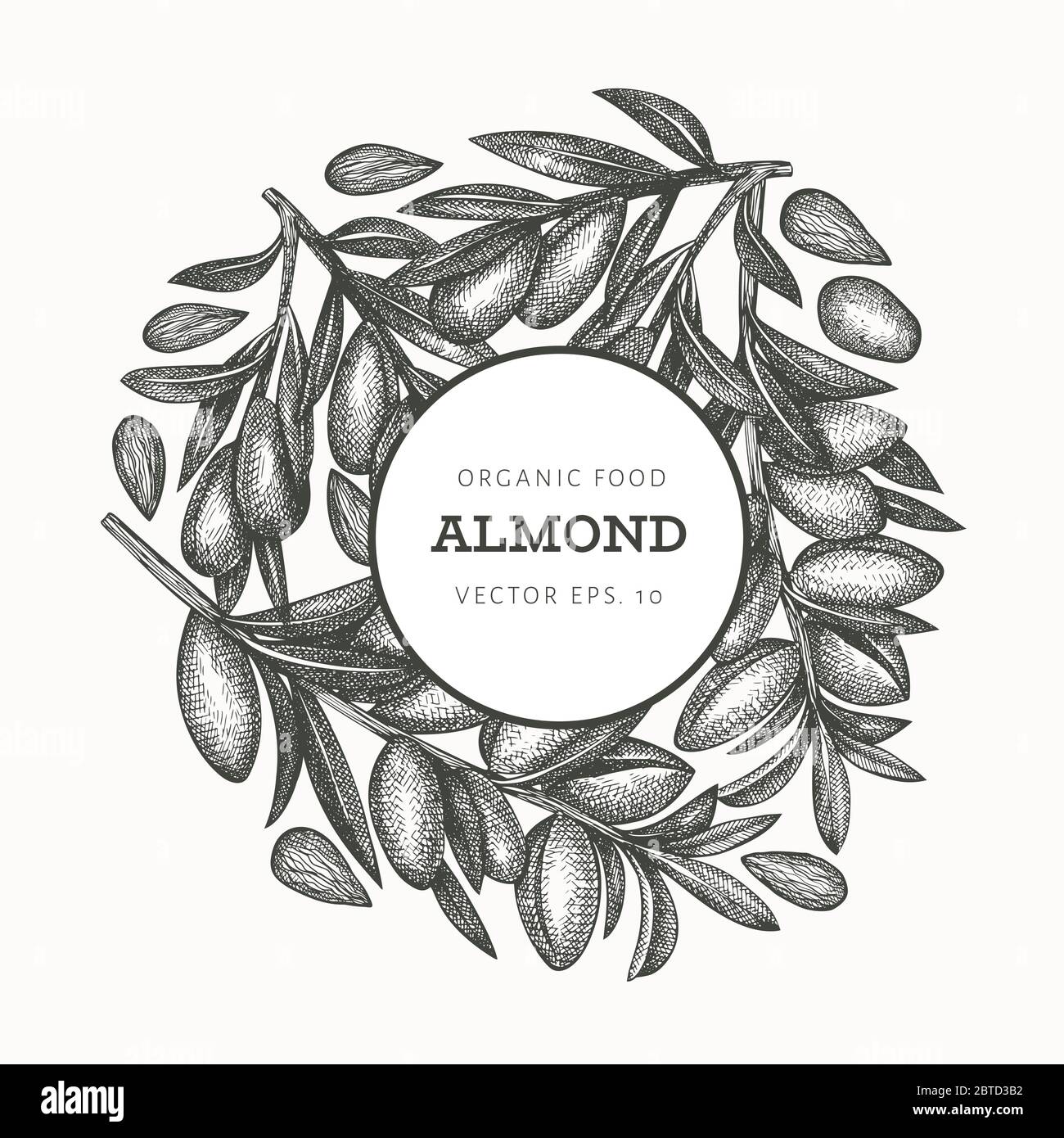 Hand drawn sketch almond design template. Organic food vector ...