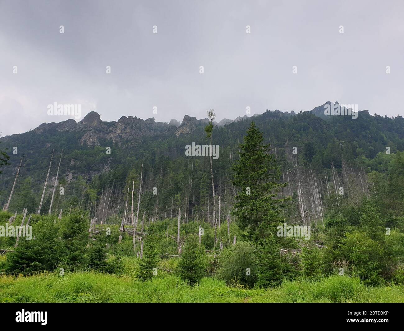 Landscapes in slovakia hi-res stock photography and images - Alamy