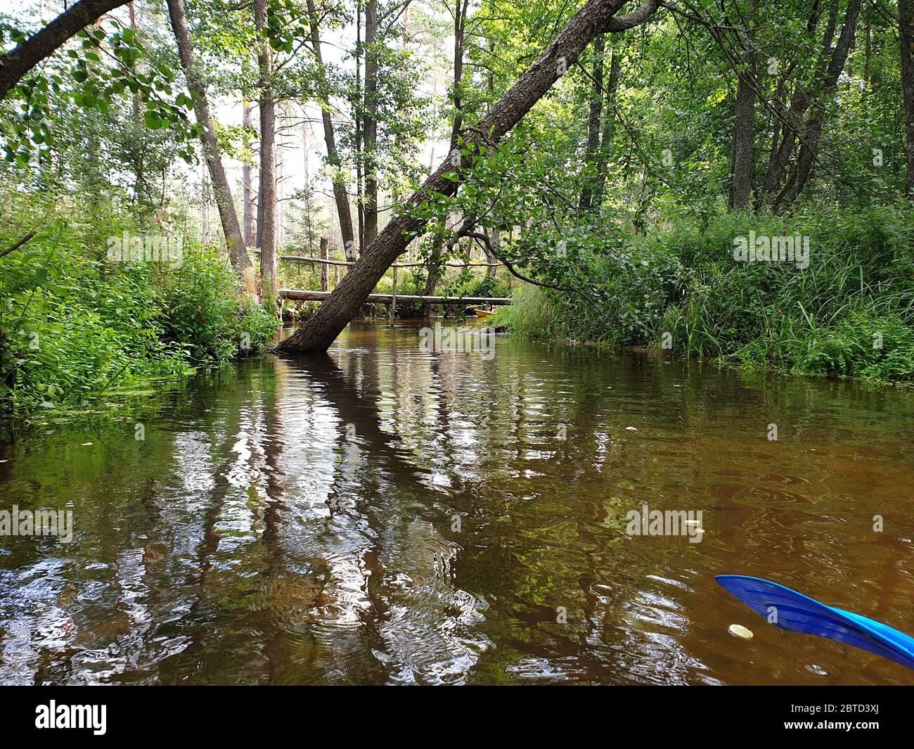 Tree and bridge over the river Stock Photo - Alamy