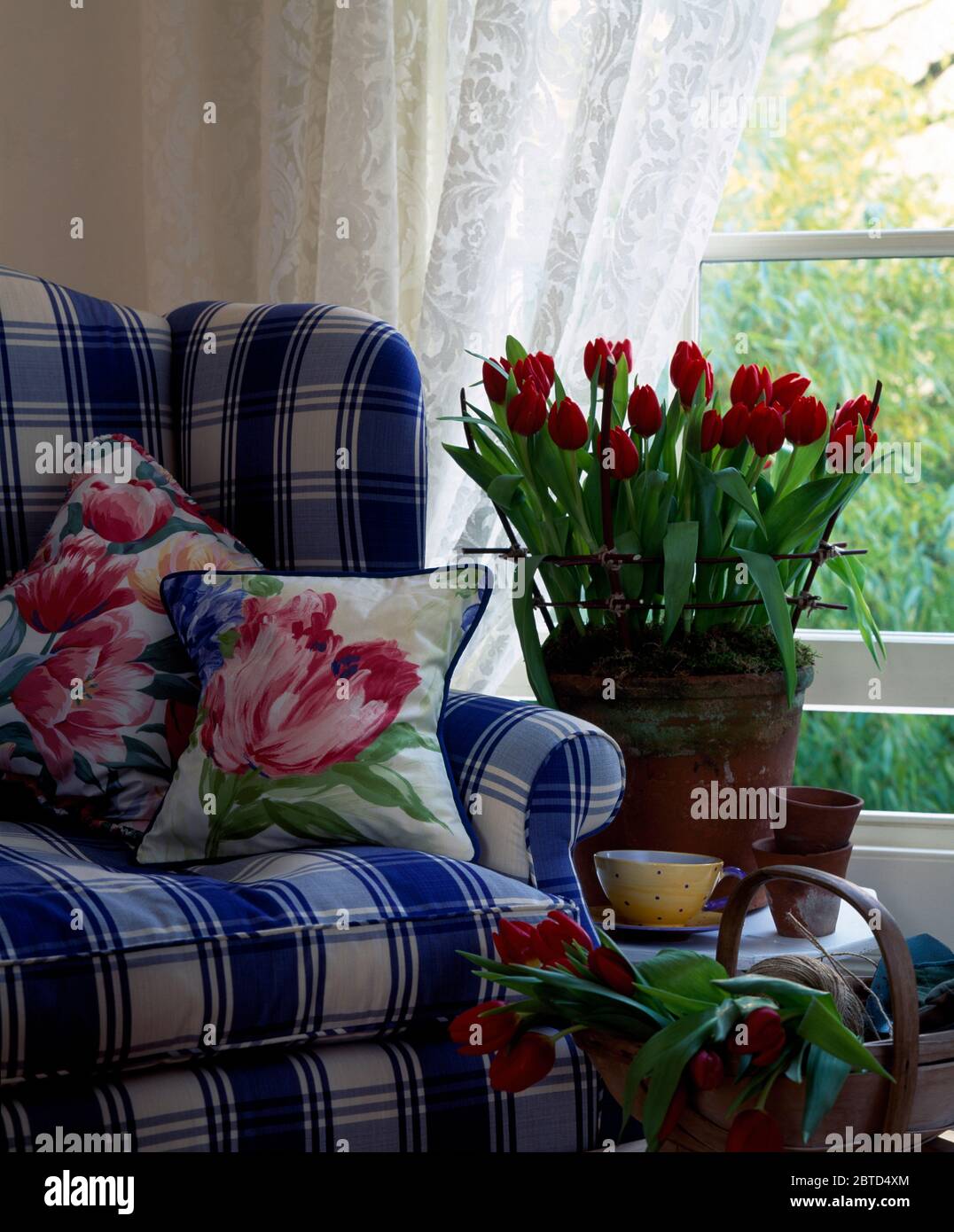 Upholstered check armchairs hi-res stock photography and images - Alamy