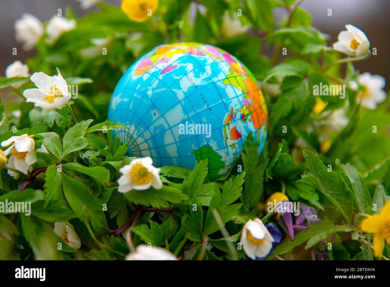 The globe is surrounded by bright spring flowers Stock Photo - Alamy