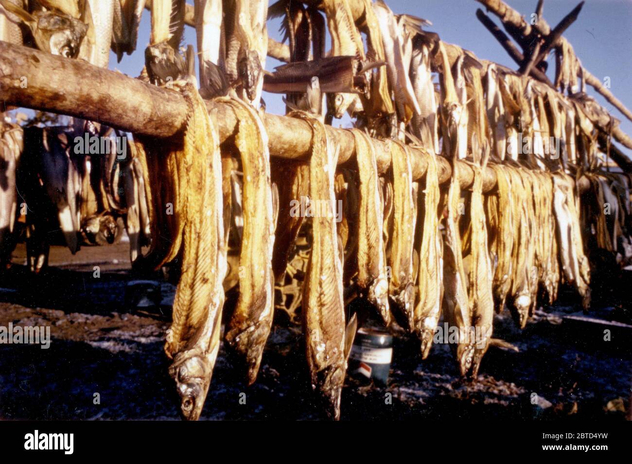 Alaska fish drying racks hi-res stock photography and images - Alamy