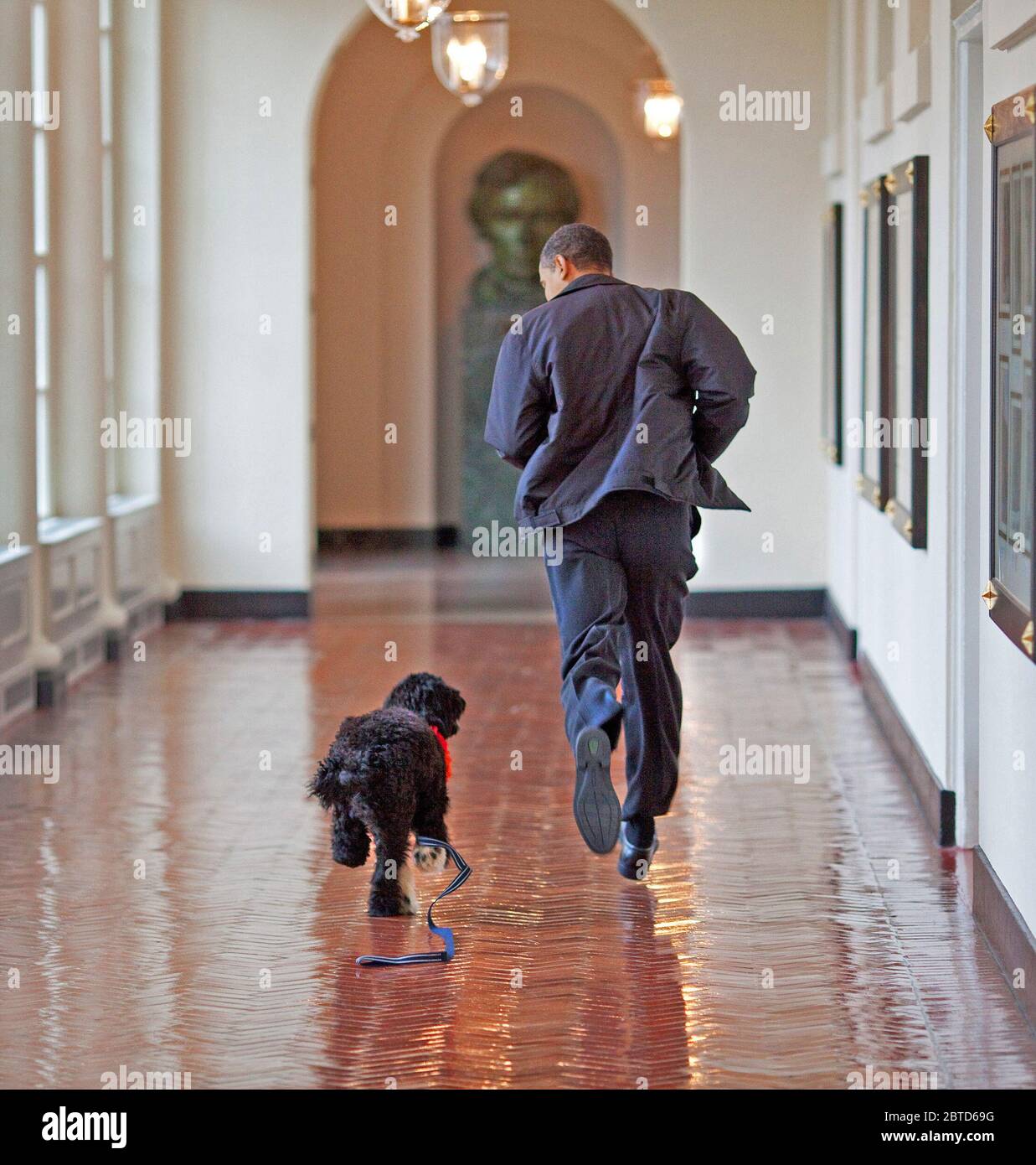 Bo dog obama hi-res stock photography and images - Alamy