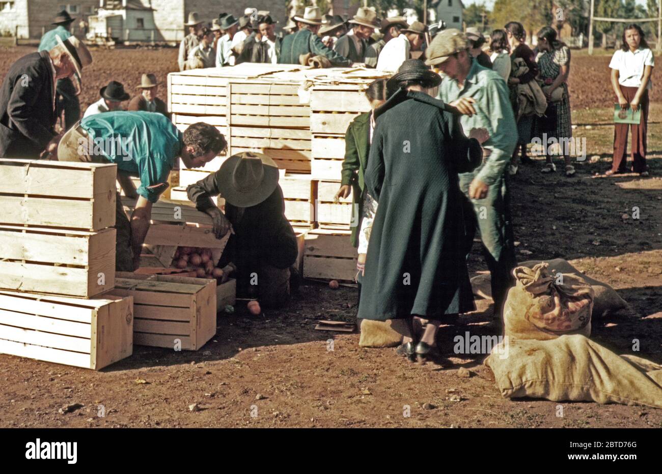 Distributing surplus commodities, St. Johns, Ariz. October 1940 Stock ...