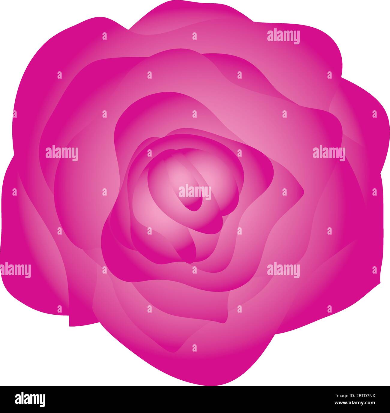 Rosal rose Cut Out Stock Images & Pictures - Alamy