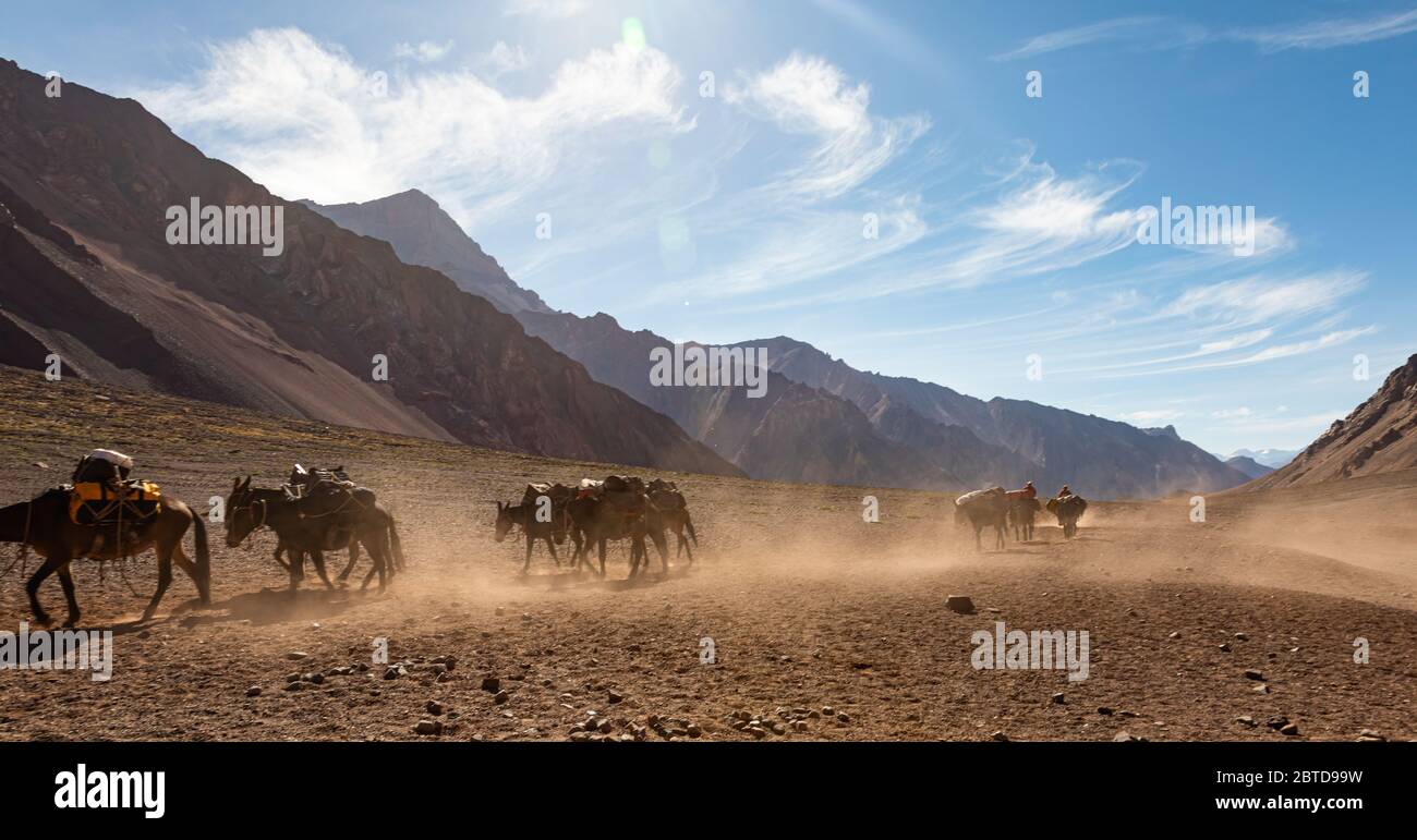 Transporting the horses hi-res stock photography and images - Alamy