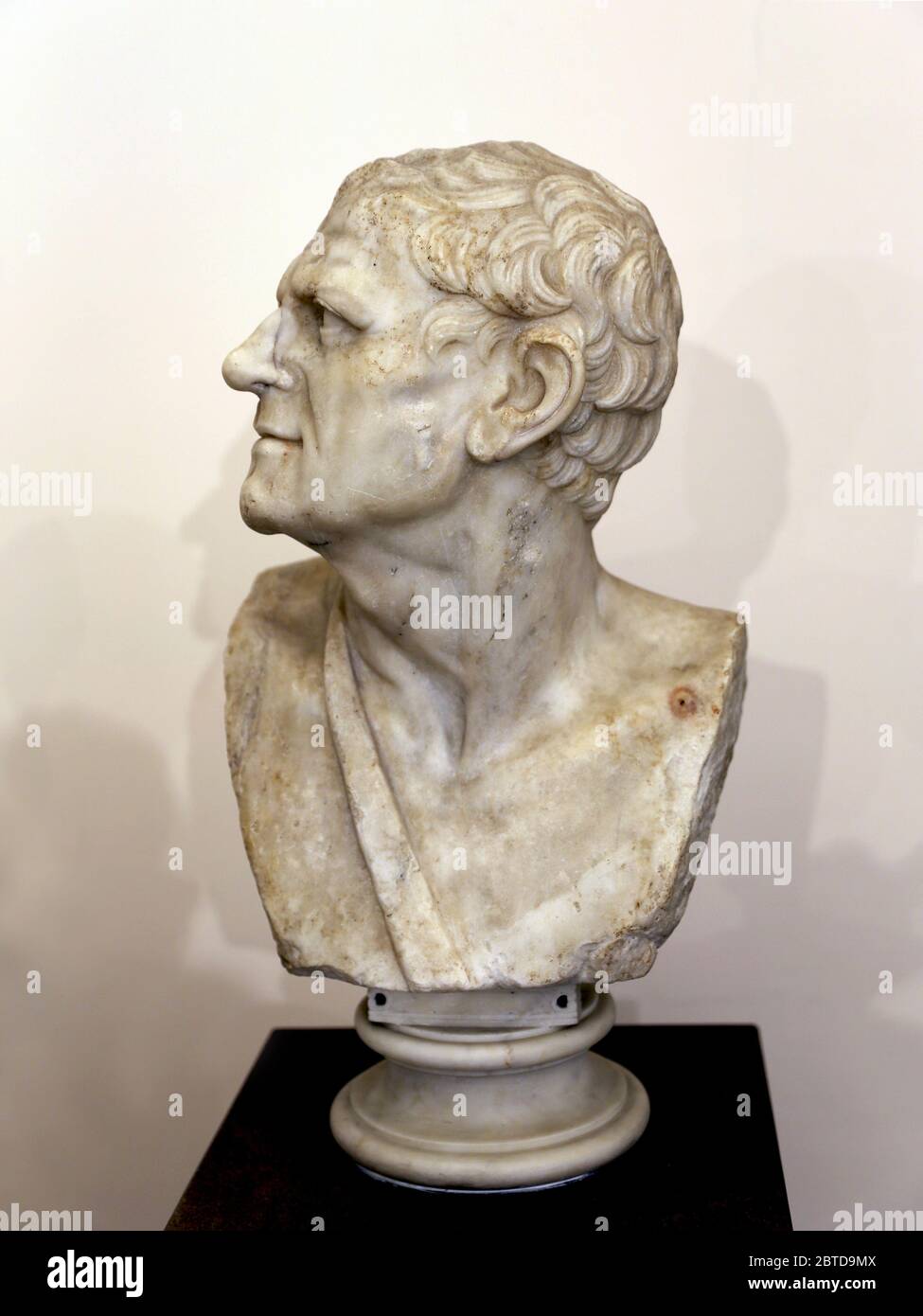 So called lysimachus hi-res stock photography and images - Alamy
