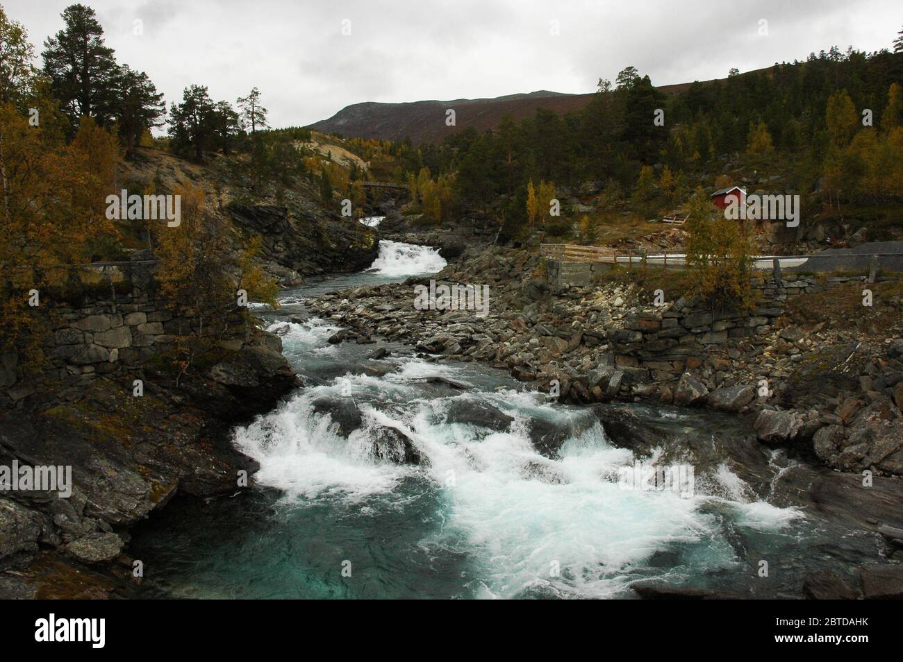 Wild norge hi-res stock photography and images - Alamy