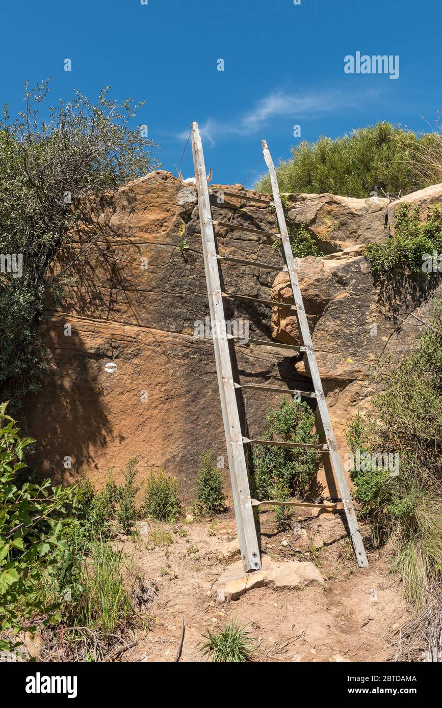 A steel ladder on the Eland Hiking Trail at Eingedi near Ladybrand. An ...