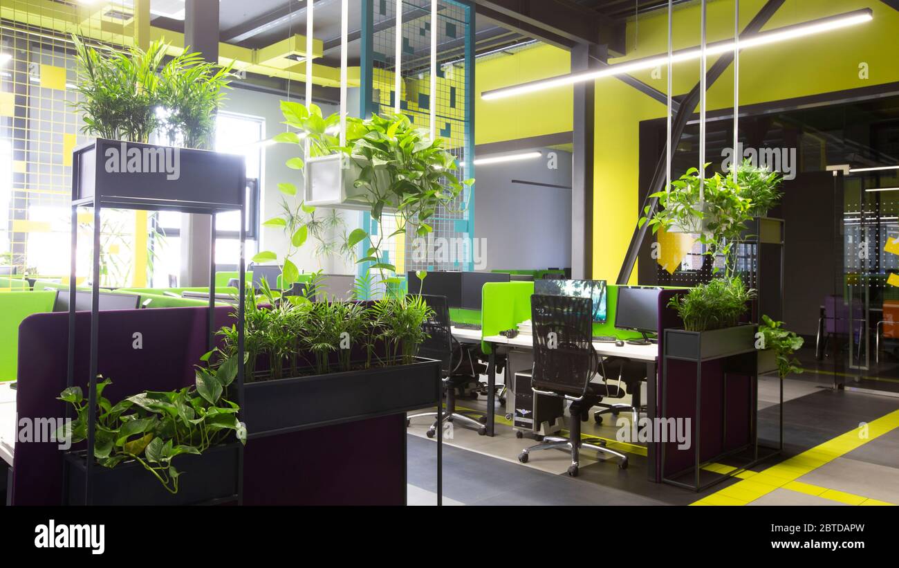 Modern Green Office Design